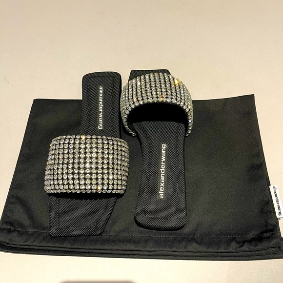 Alexander Wang | Shoes | Authentic Alexander Wang Slippers With Duster ...